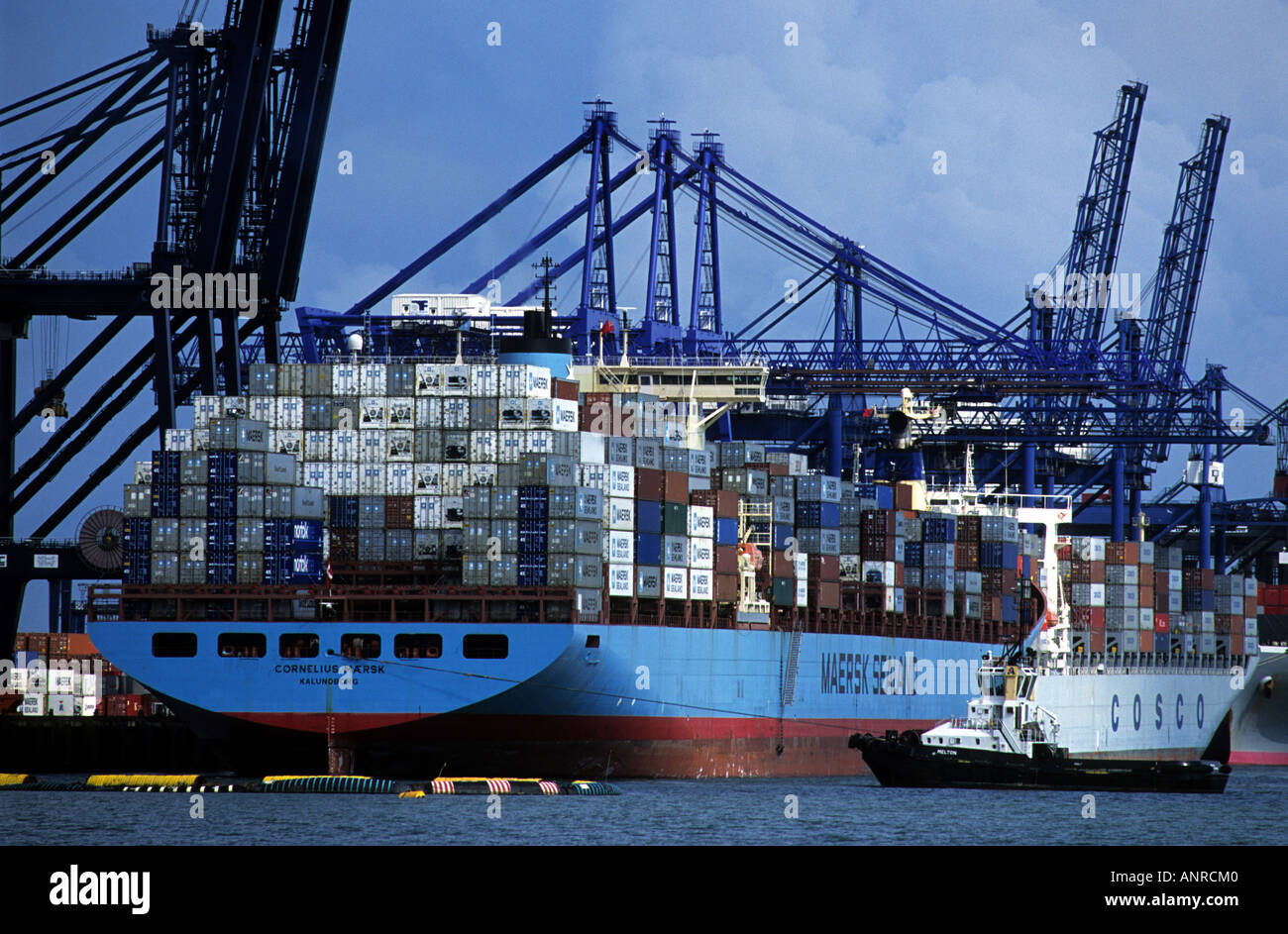 Trinity container terminal at the Port of Felixstowe, Britain's largest ...