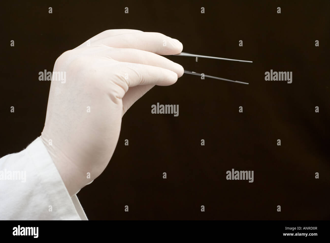 Hand holding a tweezers Stock Photo - Alamy