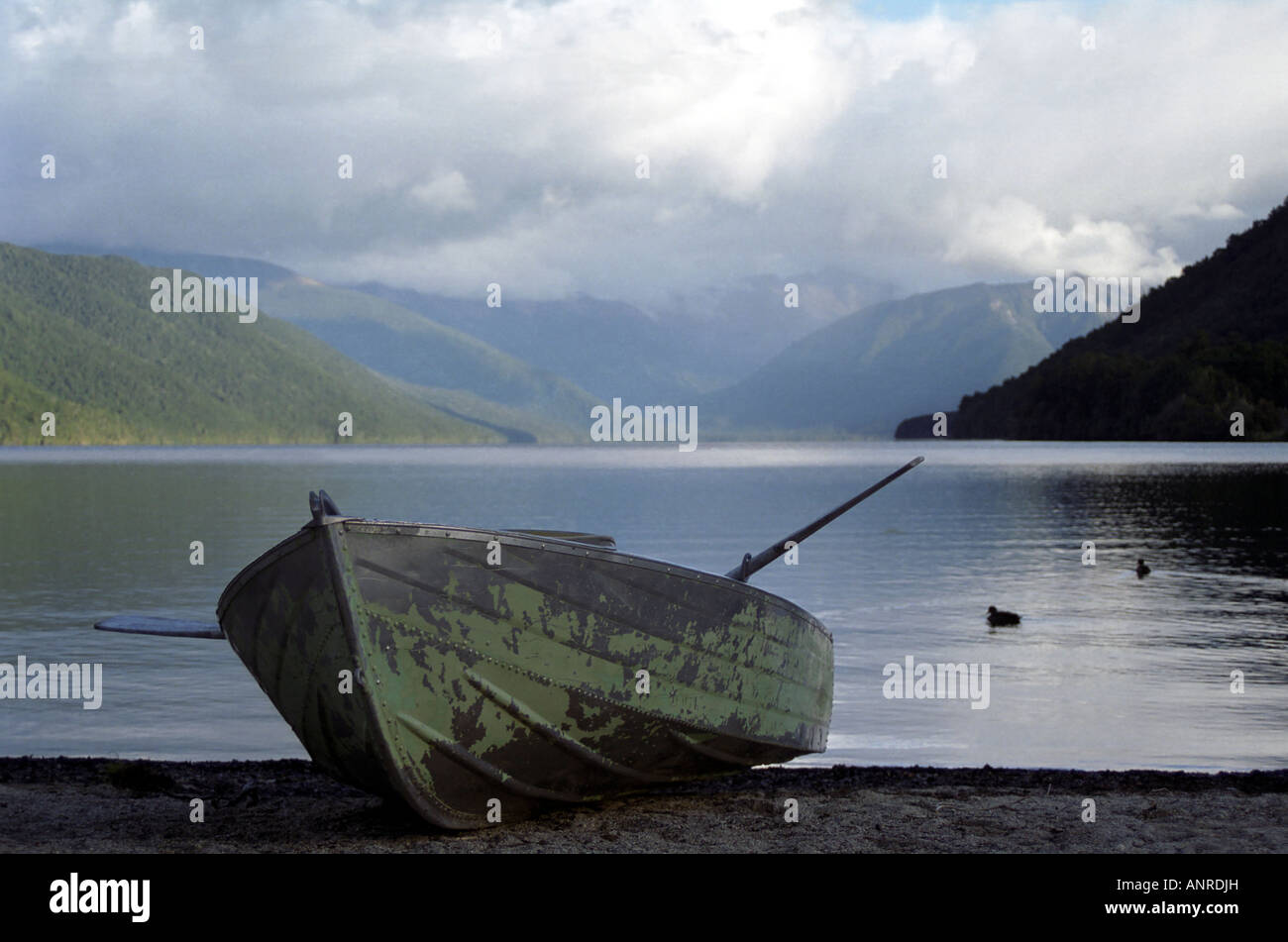 Rotoroa island beach hi-res stock photography and images - Alamy