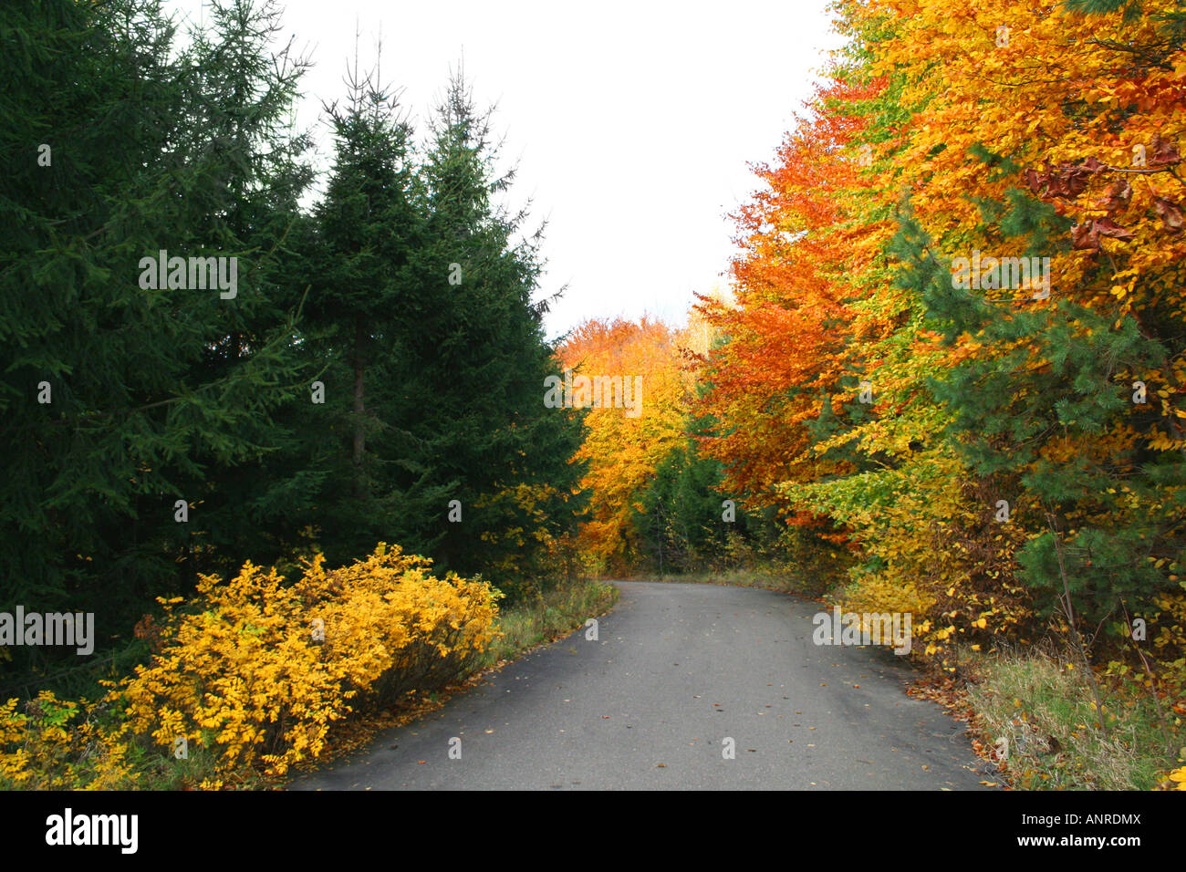 Autumn Landscape beautiful road scene Stock Photo - Alamy