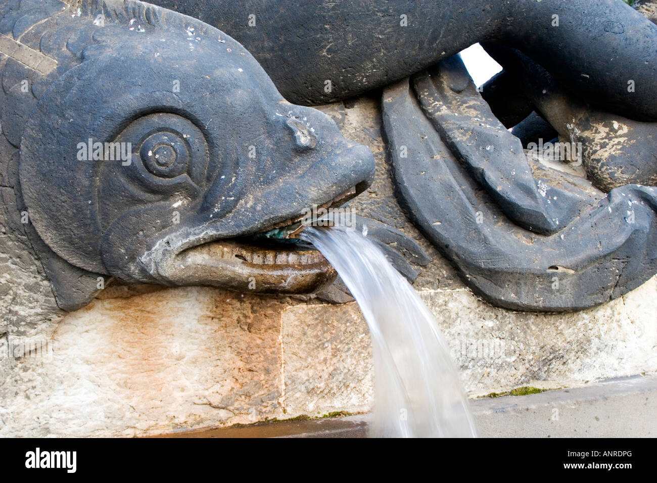 gargoyle which looks like a fish Stock Photo - Alamy