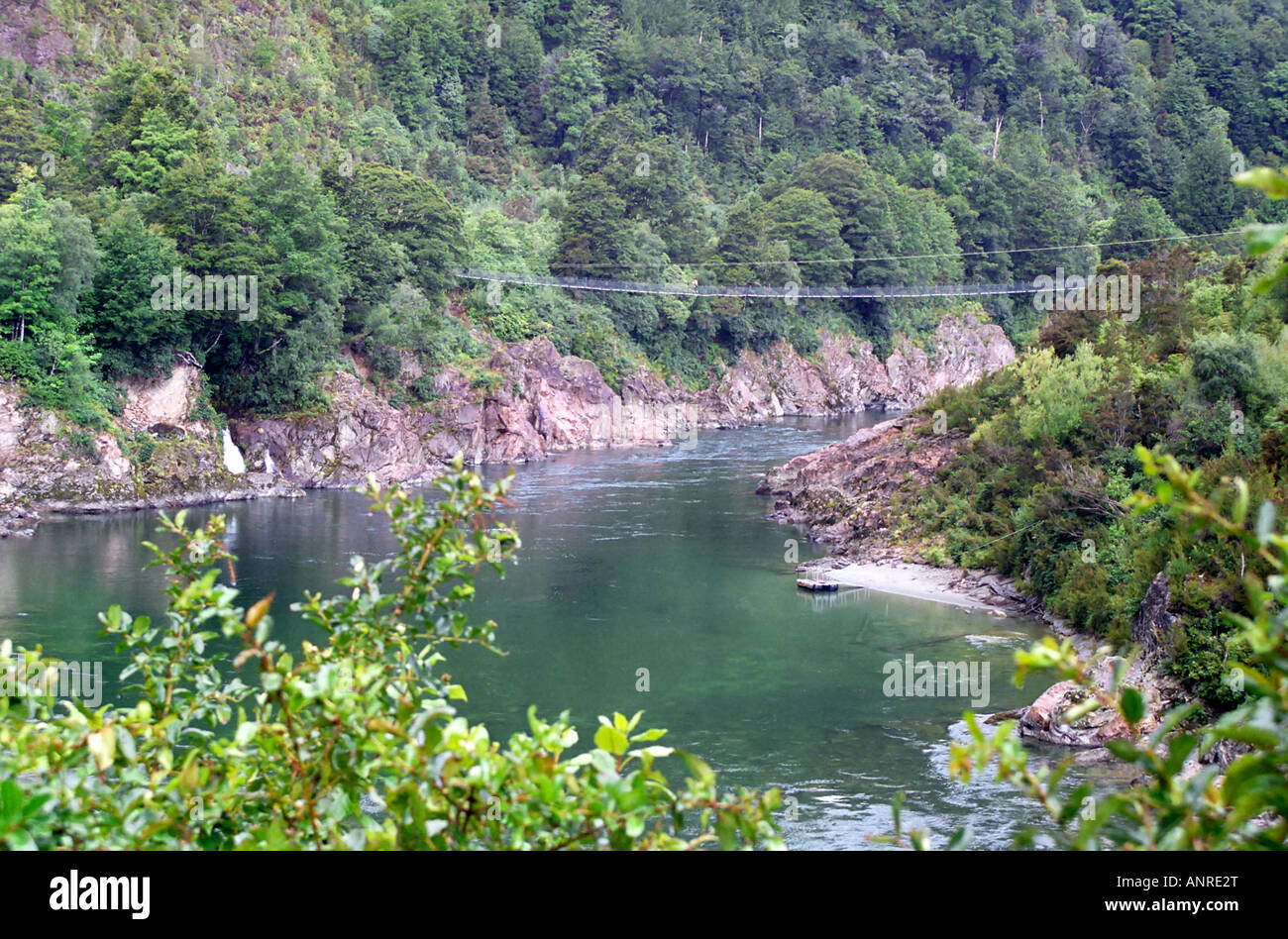 Buller Gorge swingbridge, South Island, New Zealand Stock Photo - Alamy