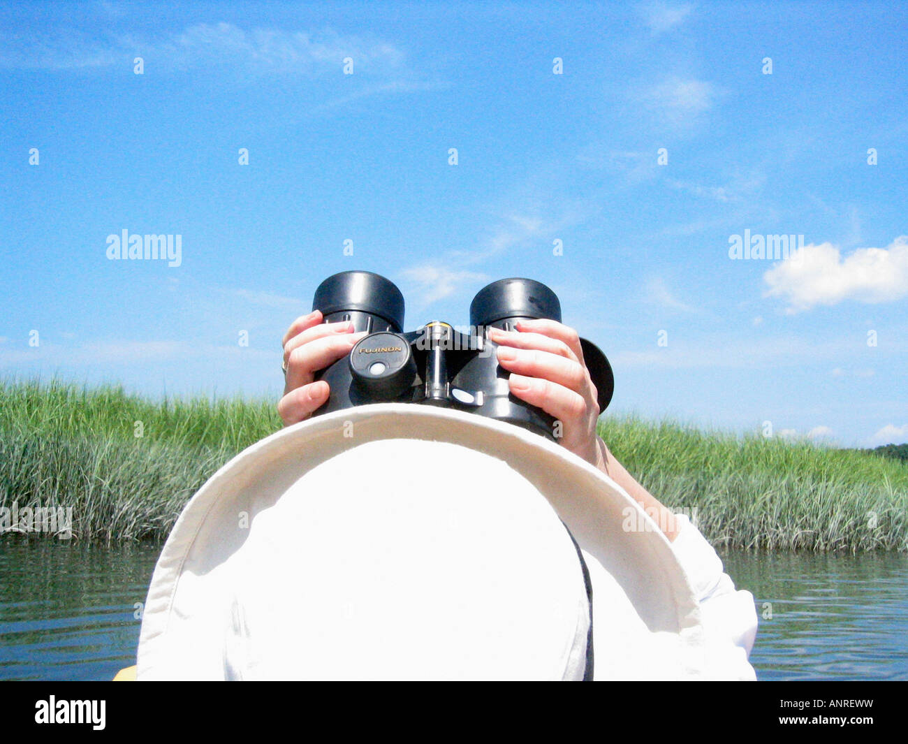 Female Bird Watcher Stock Photo - Alamy