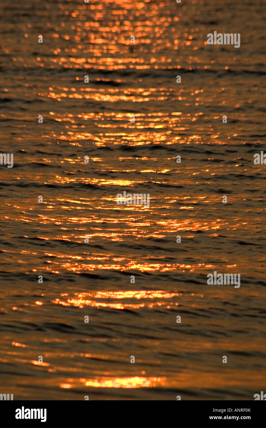 Gold waves hi-res stock photography and images - Alamy