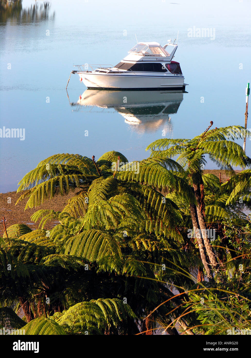 Plummers Point Tauranga New Zealand Stock Photo - Alamy