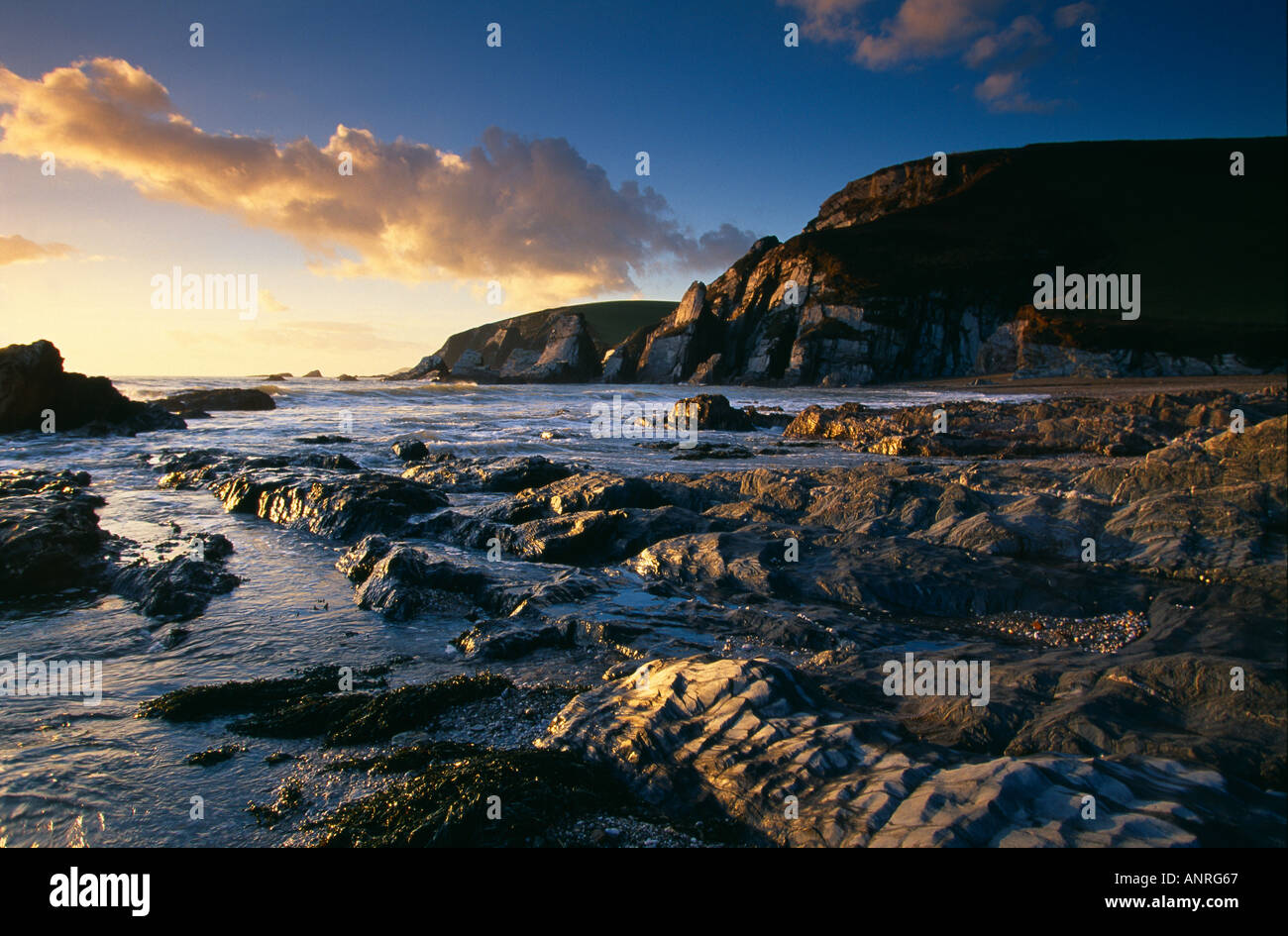 Westcombe Bay Scabbacombe Devon England UK Stock Photo - Alamy