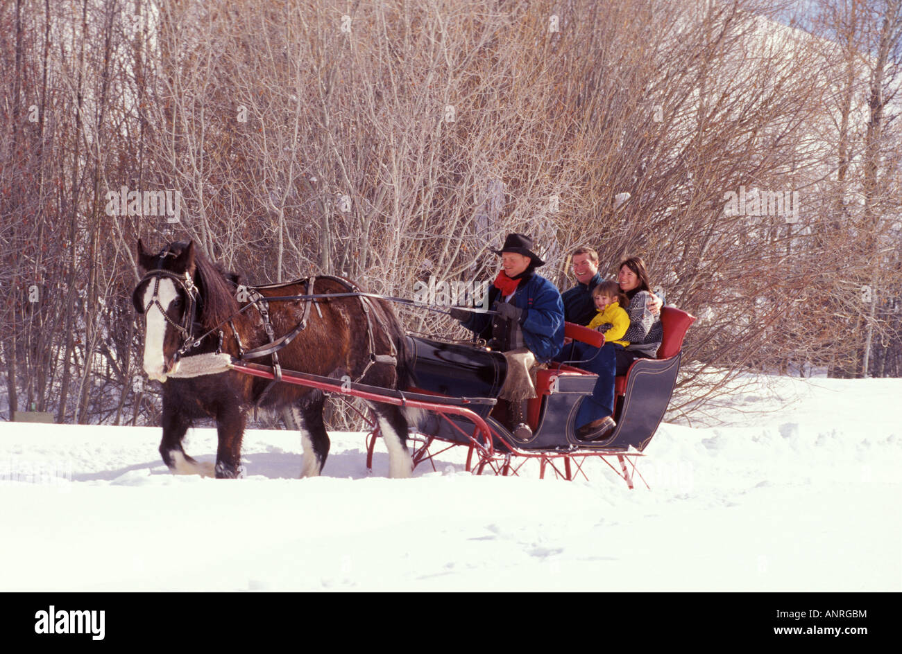 Horse sleigh snow couple hi-res stock photography and images - Alamy