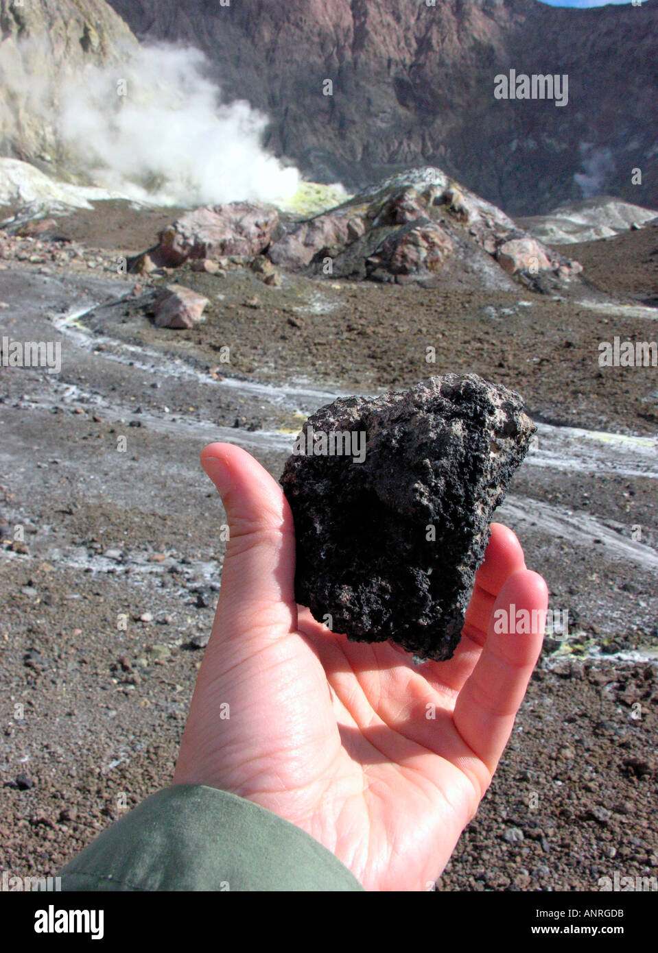White Island Tour off the coast of Whakatane New Zealand NZ only active ...
