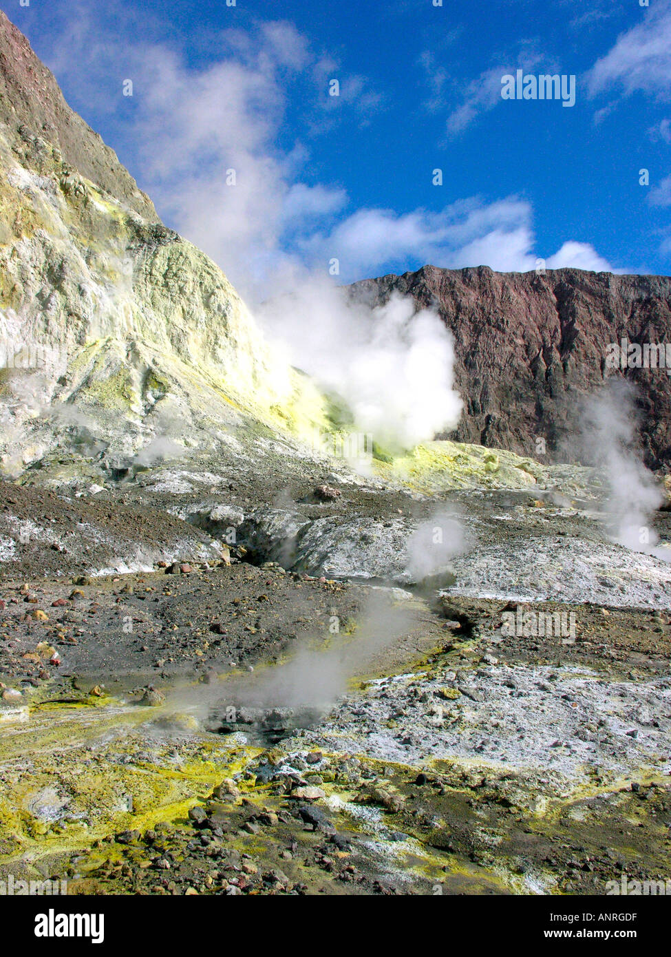 White Island Tour off the coast of Whakatane New Zealand NZ only active ...