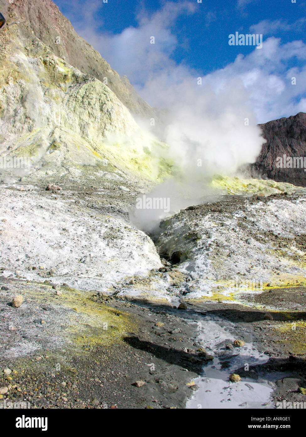 White Island Tour off the coast of Whakatane New Zealand NZ only active ...