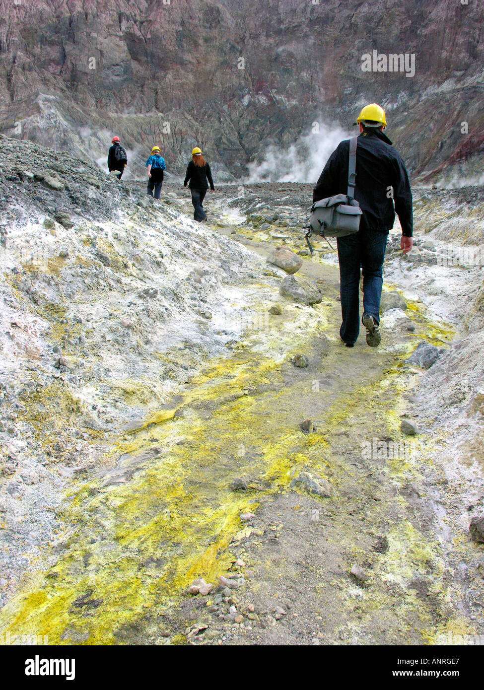 White Island Tour off the coast of Whakatane New Zealand NZ only active ...