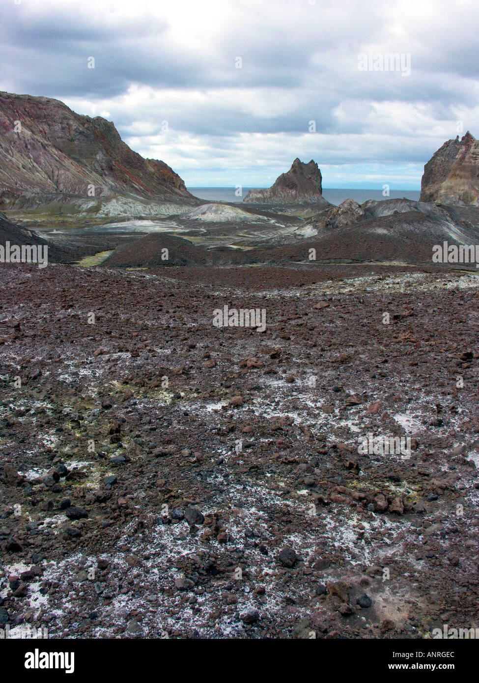 White Island Tour off the coast of Whakatane New Zealand NZ only active ...