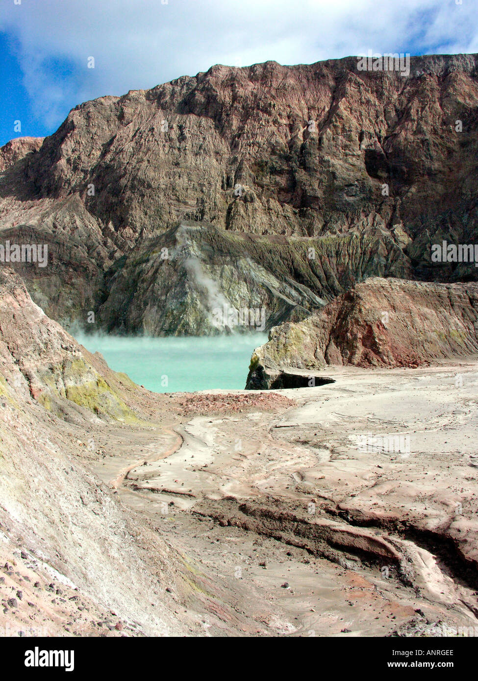 White Island Tour off the coast of Whakatane New Zealand NZ only active ...
