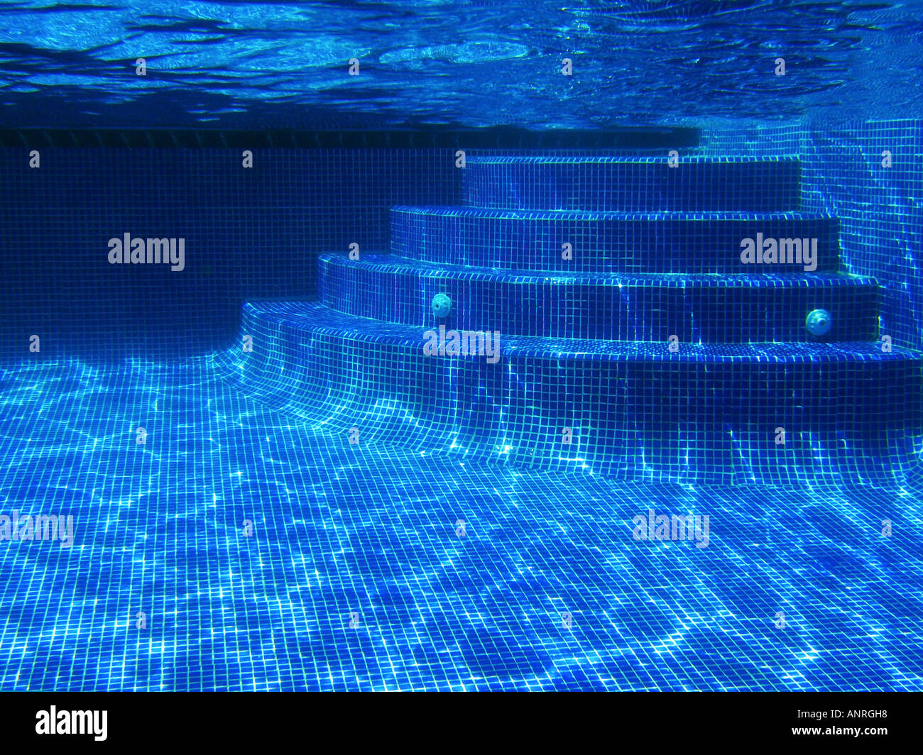 COMMON NAME Water Stock Photo Alamy common-name-water-stock-photo-alamy
