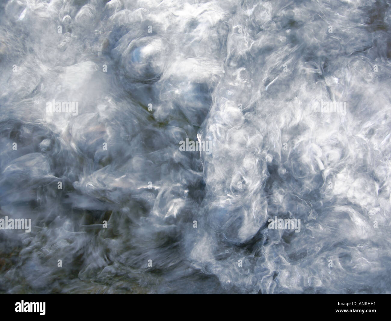 COMMON NAME: Water Stock Photo - Alamy