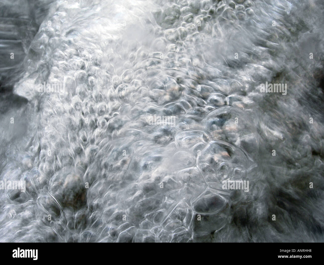 COMMON NAME: Water Stock Photo - Alamy