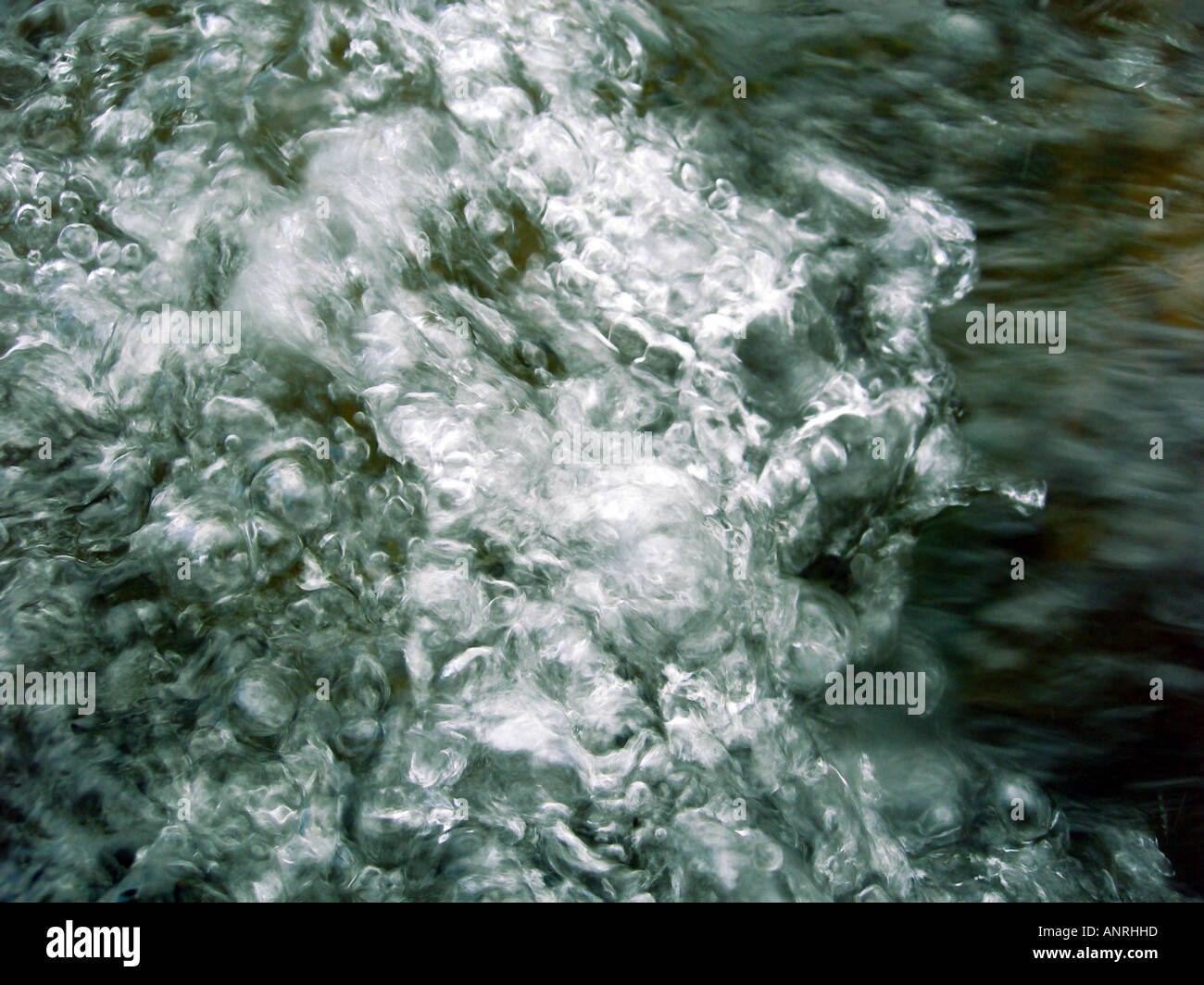 COMMON NAME: Water Stock Photo - Alamy