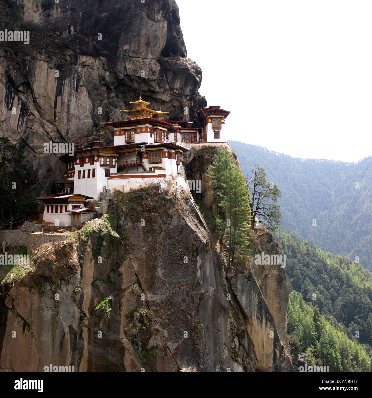 Bhutan Taktsang Tigers Nest monastery Stock Photo - Alamy