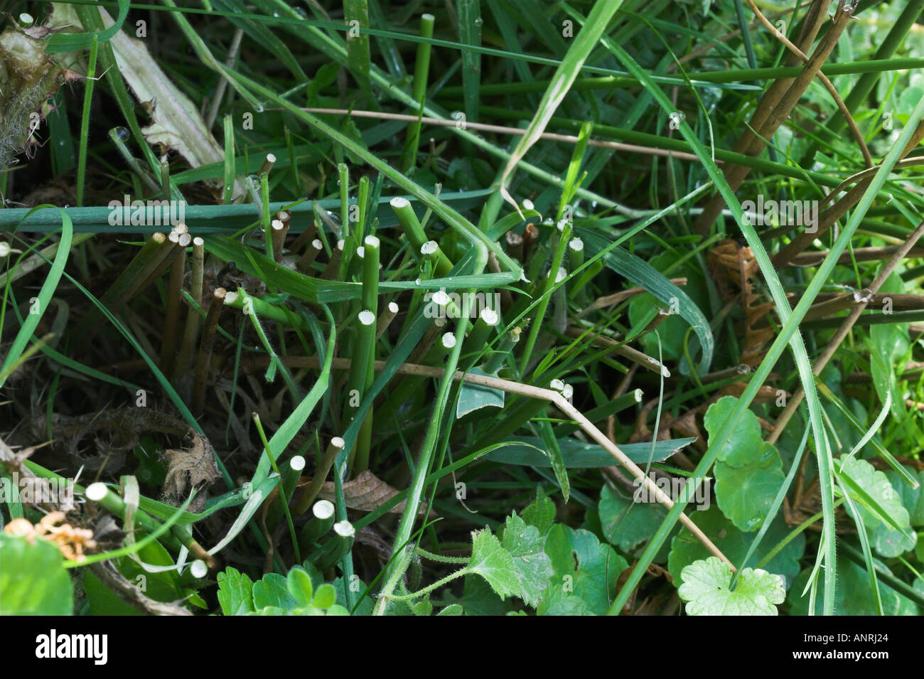 Rare signs hi-res stock photography and images - Alamy