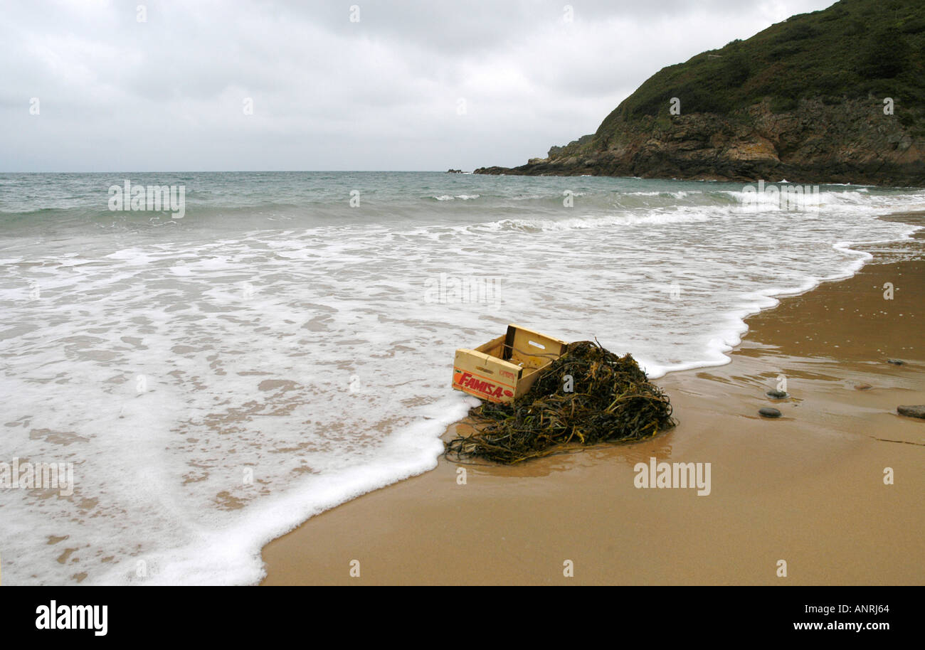 Empty wooden crate on beach hi-res stock photography and images - Alamy
