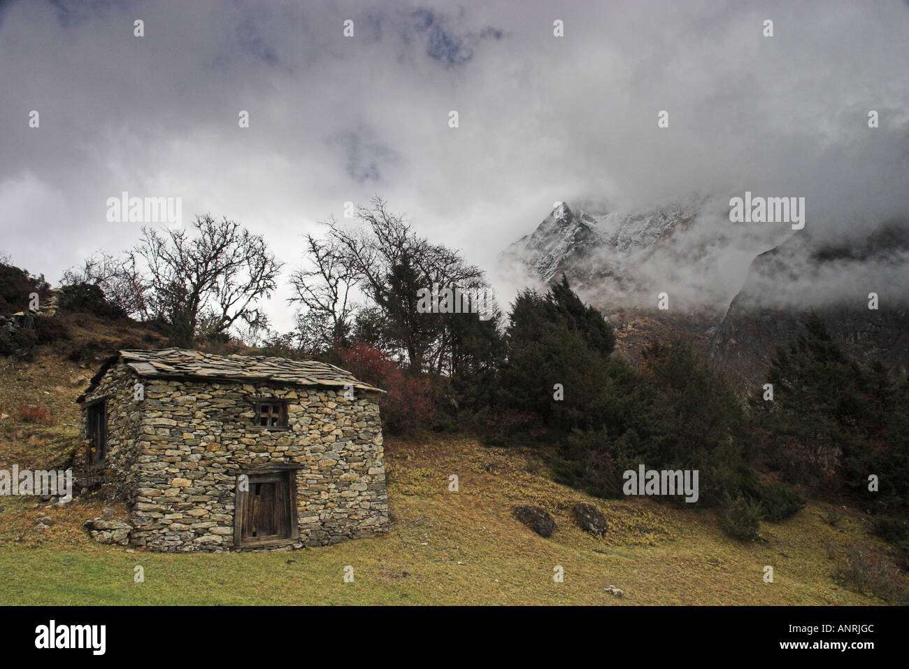 An old stone hut on a high pasture in the misty mountains Stock Photo ...