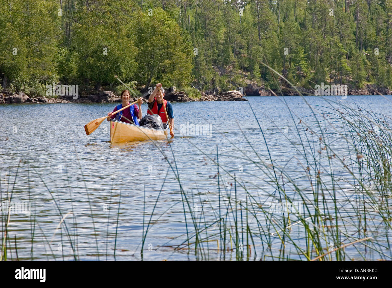 Quetico Provincial Park Stock Photo - Alamy