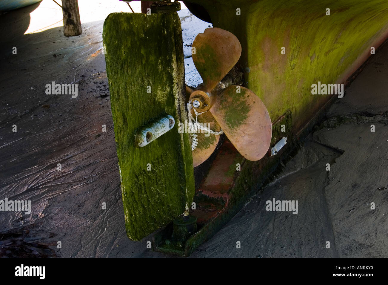 Fishing Trawler Rudder And Prop Stock Photo - Alamy