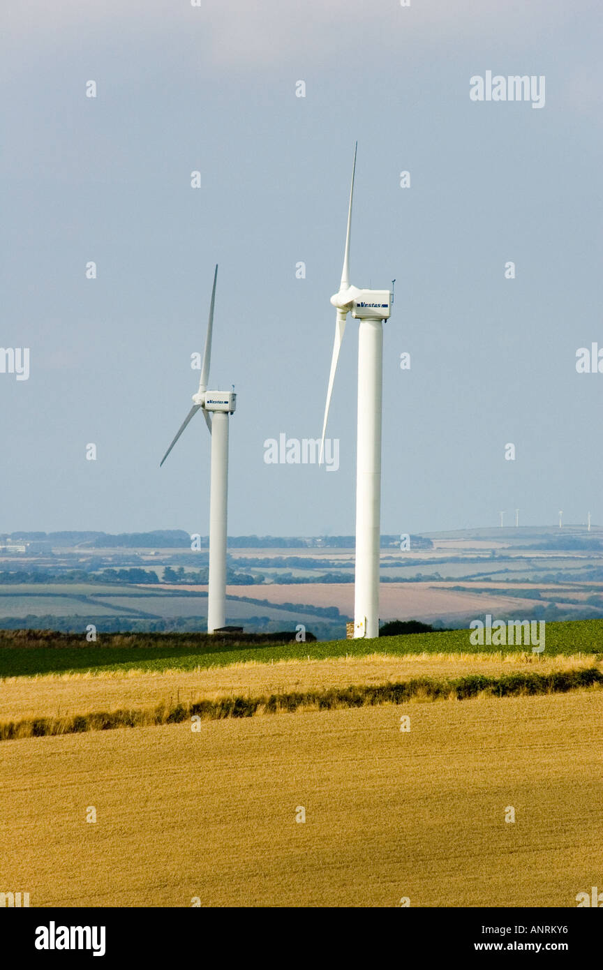 Grassland based hi-res stock photography and images - Alamy