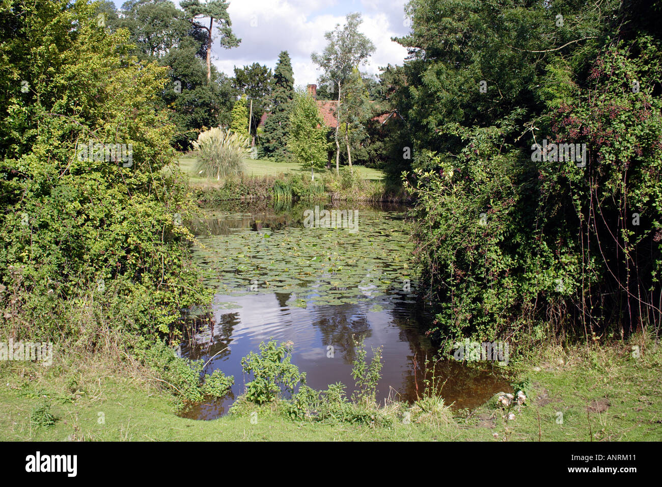 Medieval fish pond hi-res stock photography and images - Alamy