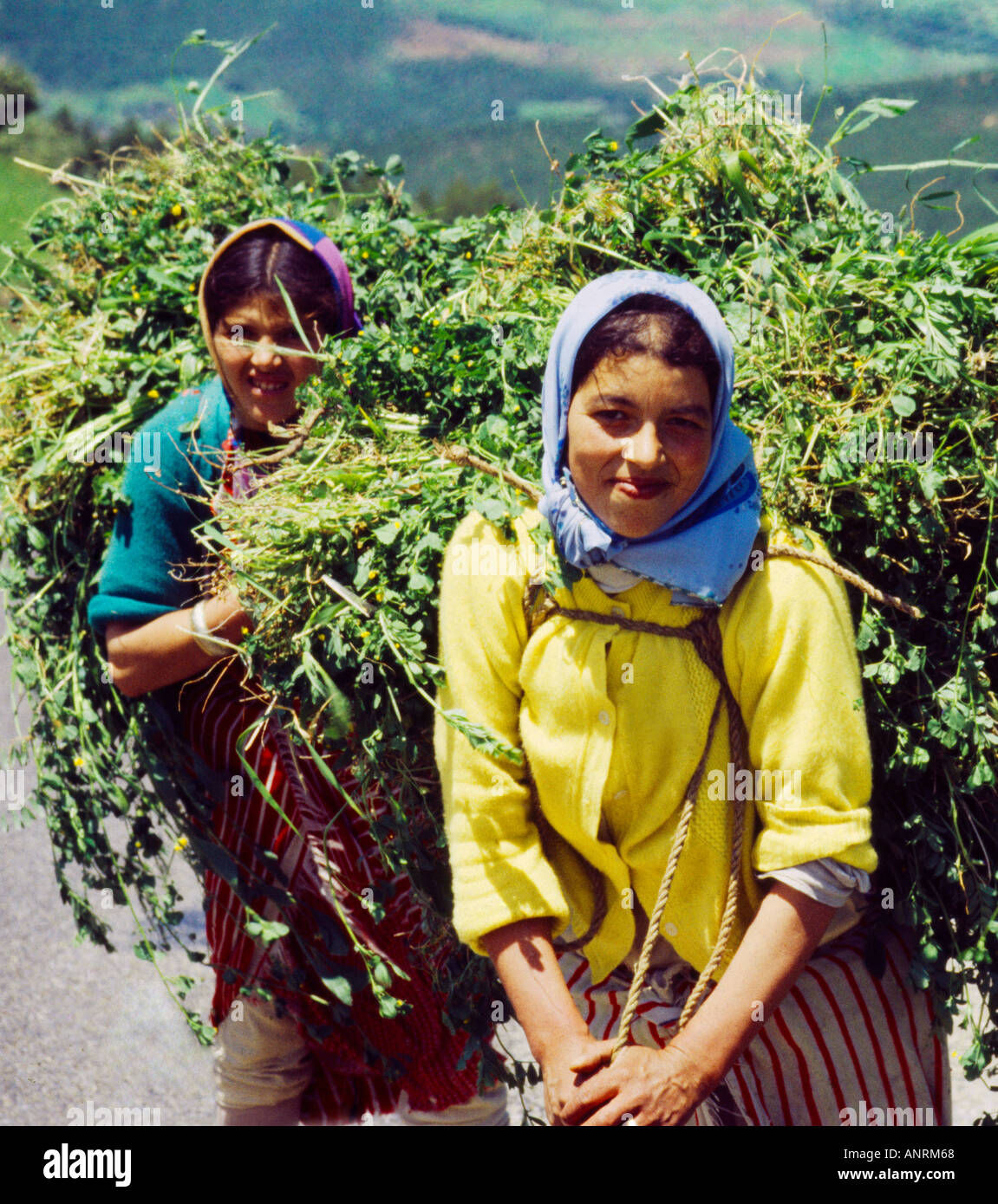Morocco Rif Mountains Women Carrying Grasses Stock Photo - Alamy