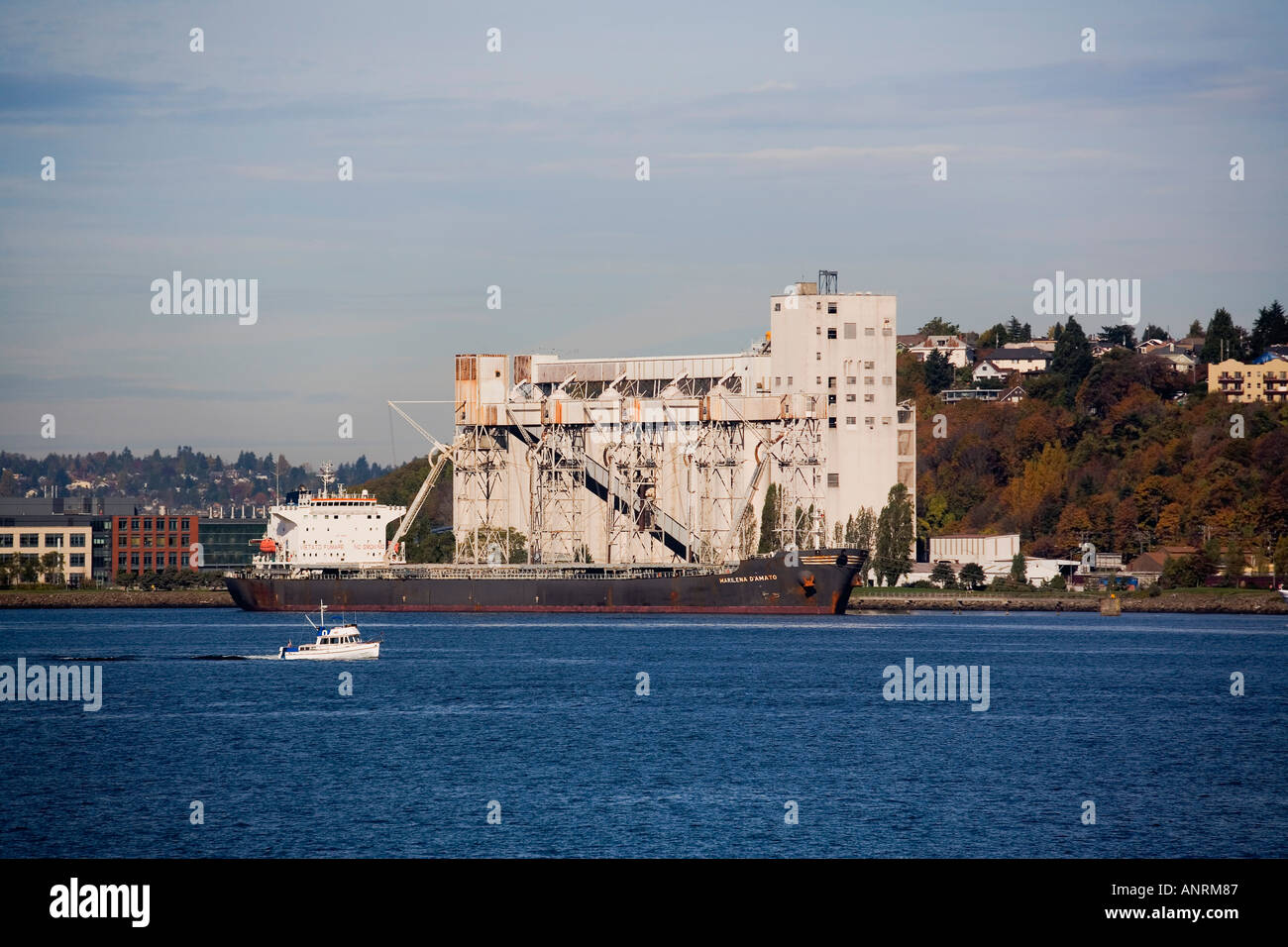 Transport ship takes on load of grain from grain elevator pier 86 on ...