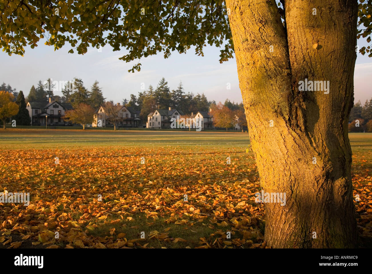 Military parade ground trees hi-res stock photography and images - Alamy