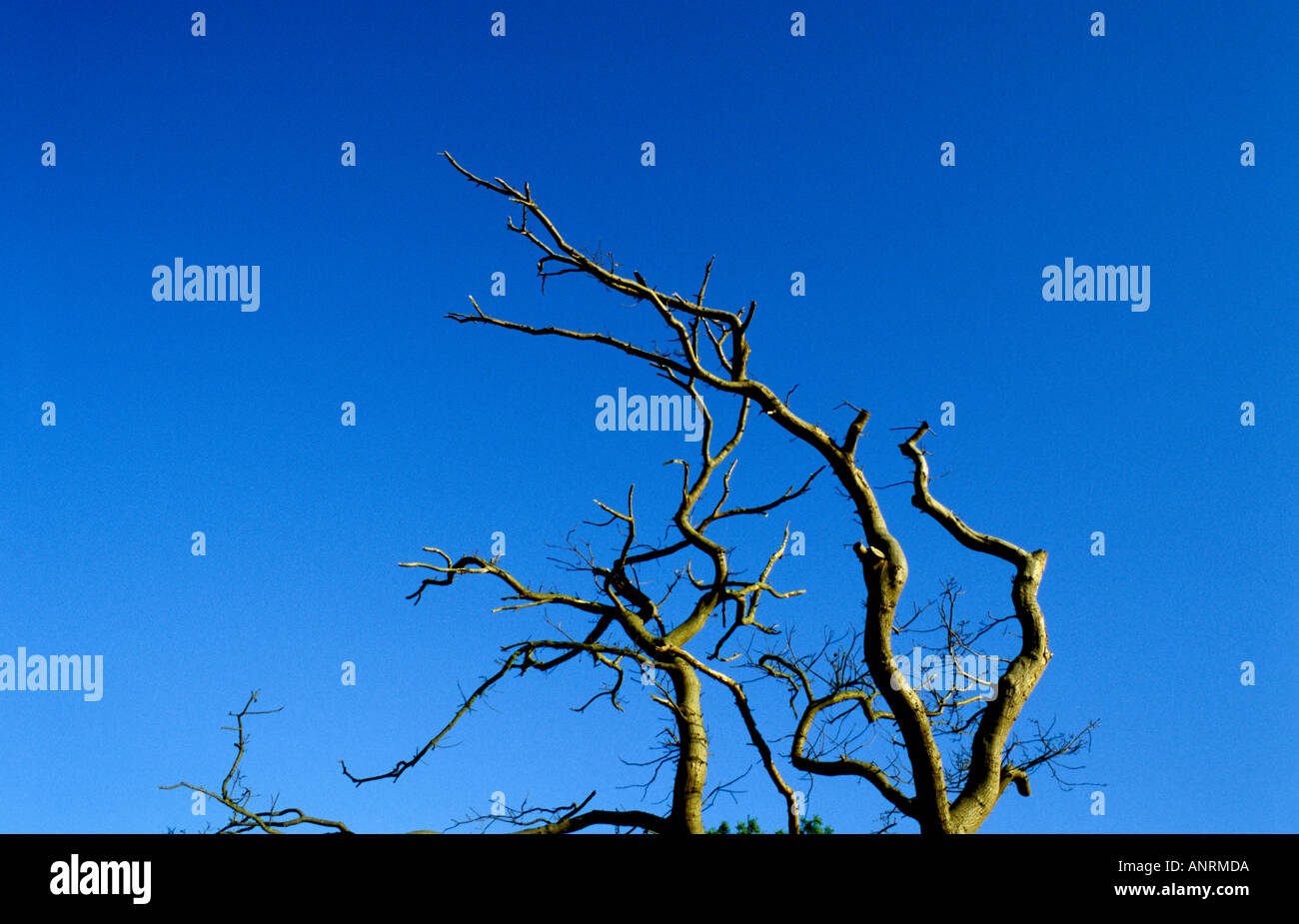 Cielo azul blauer himmel hi-res stock photography and images - Alamy