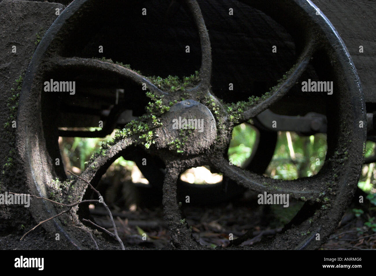 This old mine train is being slowly reclaimed by the forest Stock Photo ...