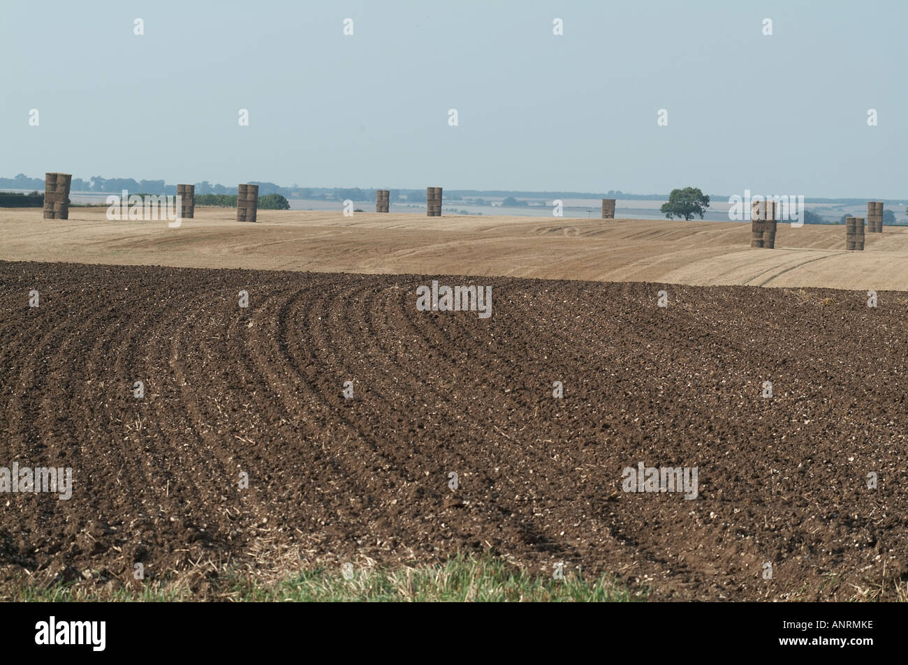 Soil, earth, fertile, farmland, farm, arable, furrow, plant, grow, food ...