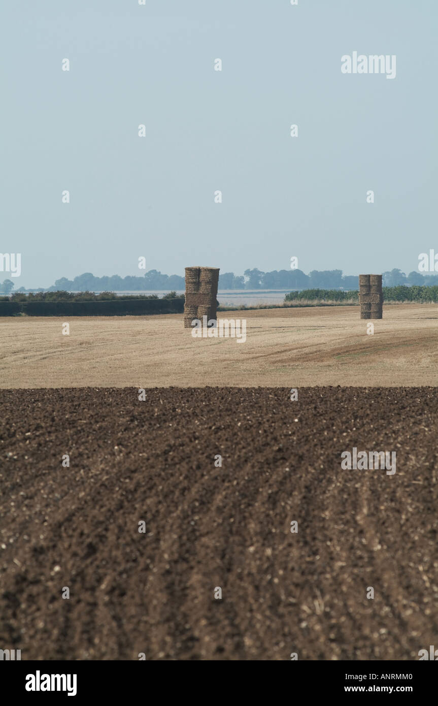 Soil, earth, fertile, farmland, farm, arable, furrow, plant, grow, food ...