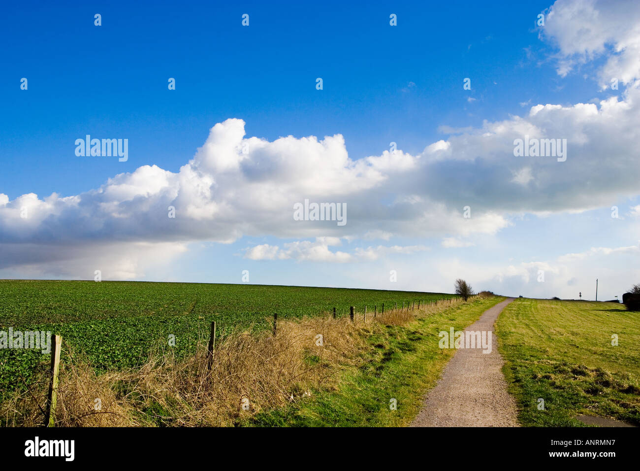 Common name: Landscape Stock Photo - Alamy