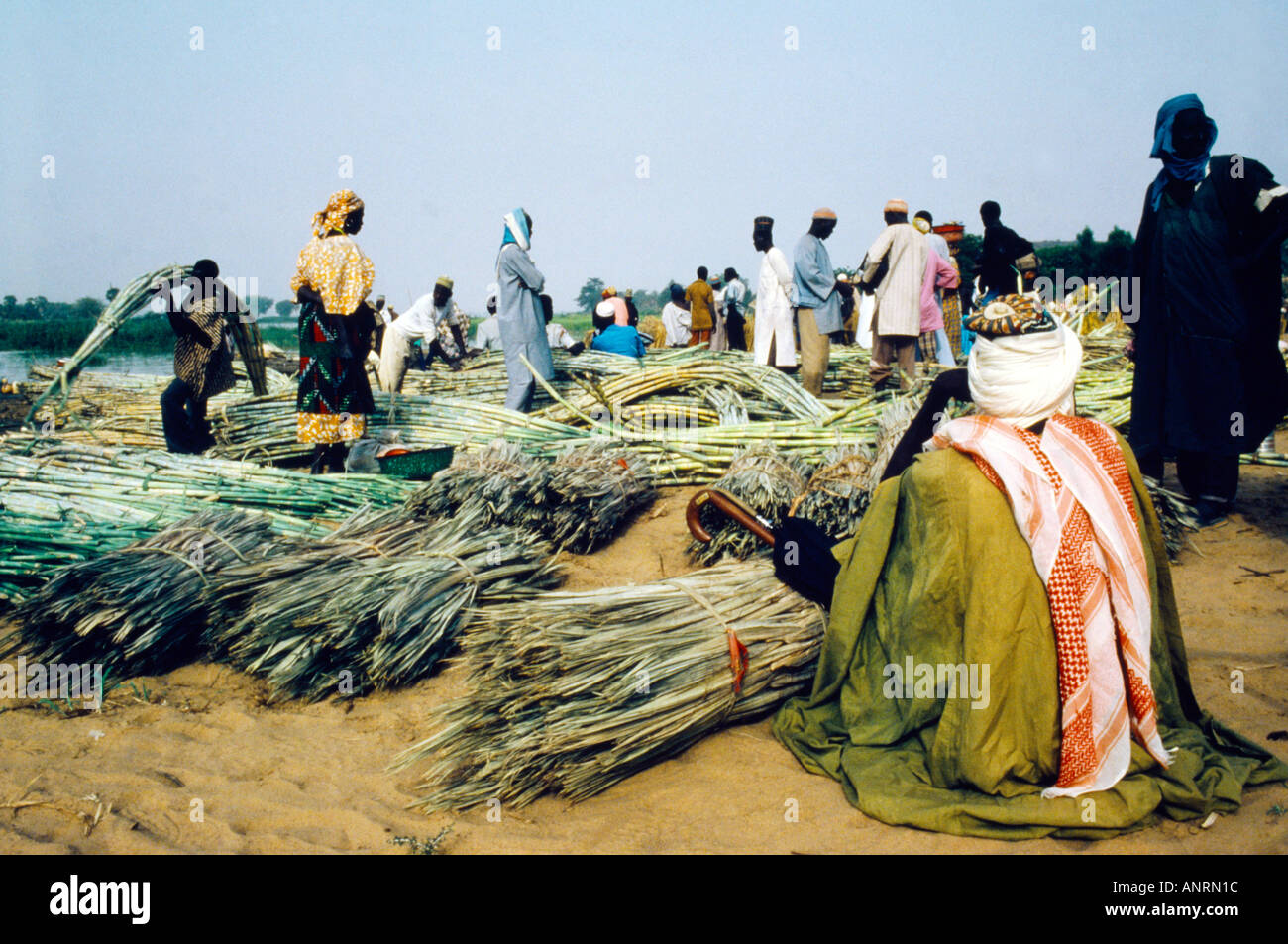 Boubon hi-res stock photography and images - Alamy