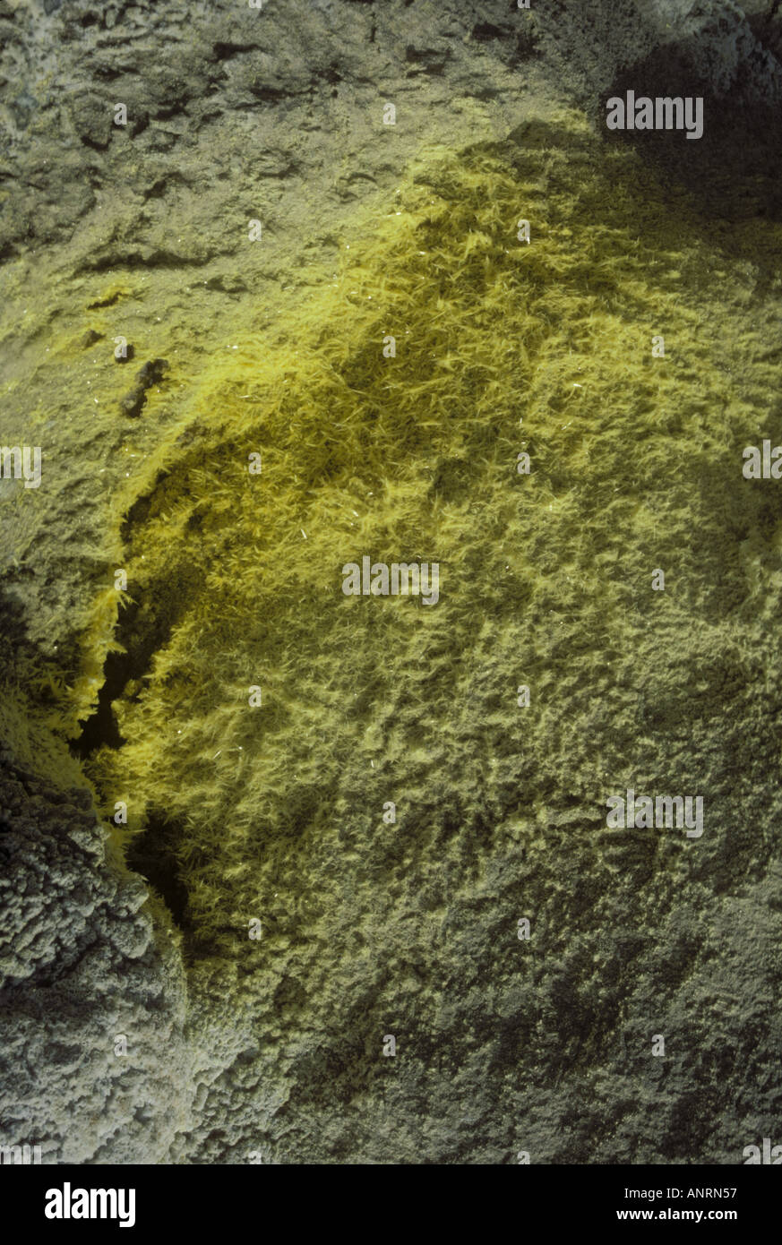 Sulphur crystal on rock around fumarole Augustine volcano Cook inlet ...