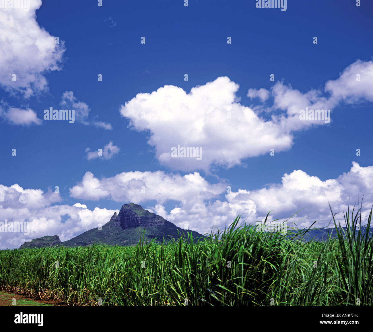 Typical scene countryside scenery vista landscape paysage hi-res stock ...