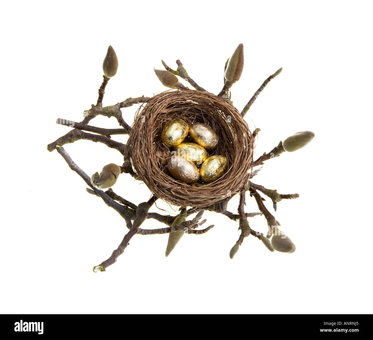 Common wealth fund hi-res stock photography and images - Alamy