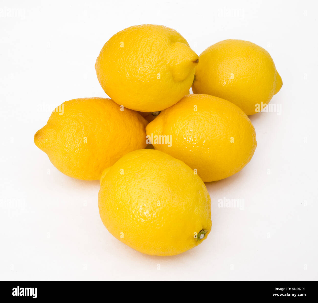 COMMON NAME: Lemons LATIN NAME: Citrus Limon Stock Photo - Alamy