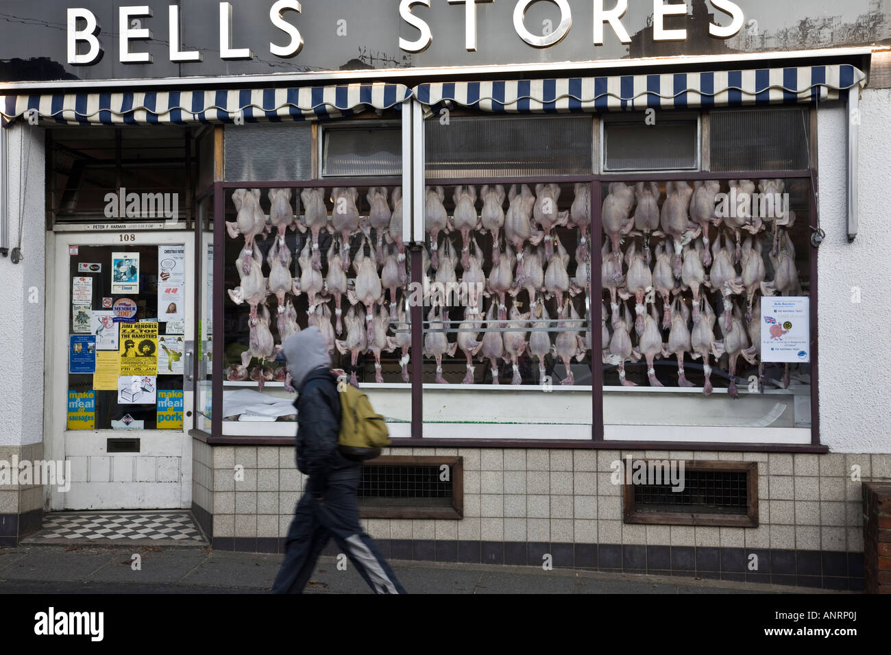 Turkey hanging in butchers shop hi-res stock photography and images - Alamy