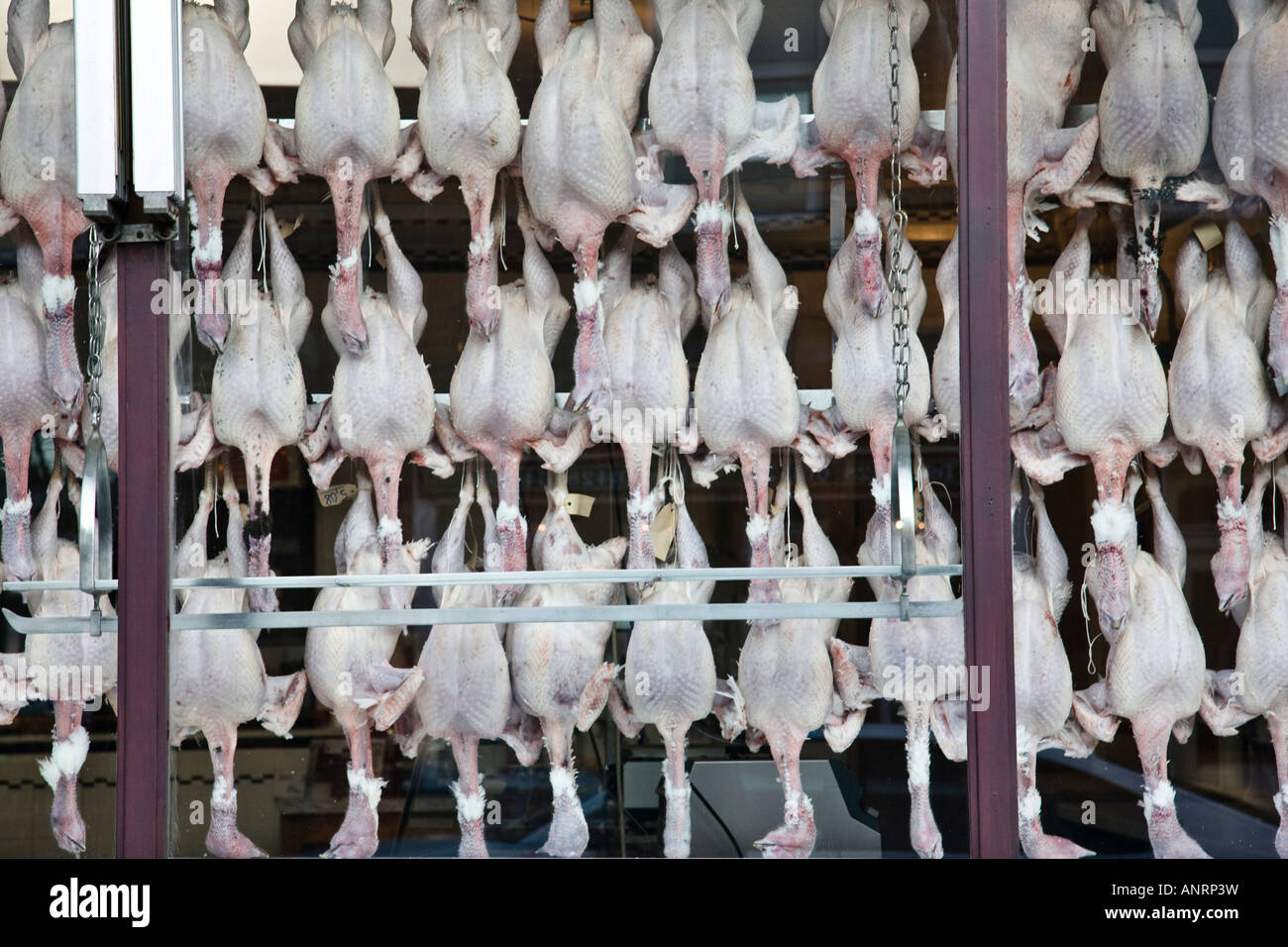 Turkey hanging in butchers shop hi-res stock photography and images - Alamy