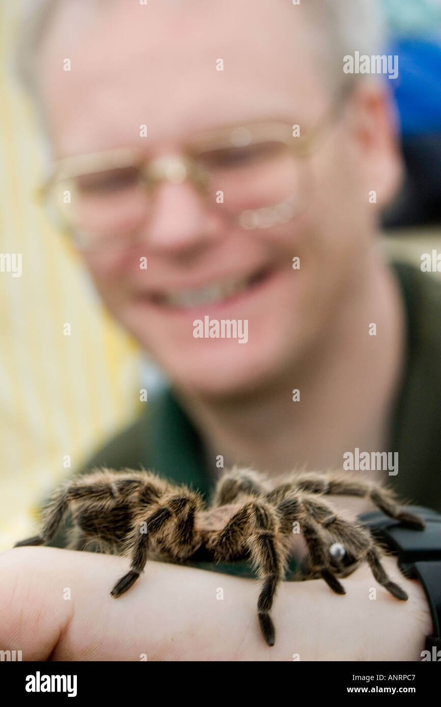 Man with a spider on his hand Stock Photo - Alamy