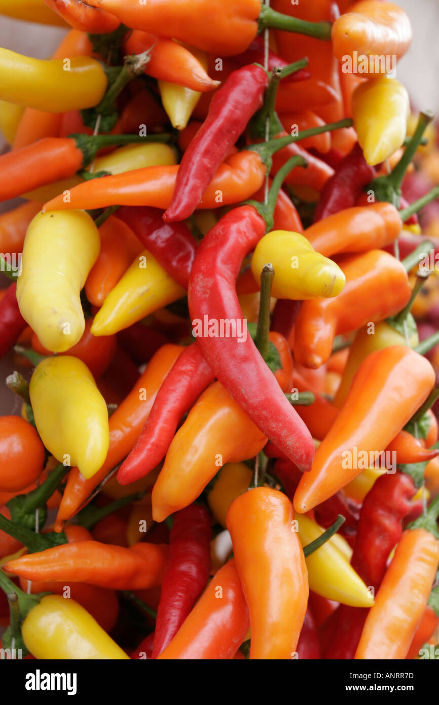 Nahuatl chilli hi-res stock photography and images - Alamy