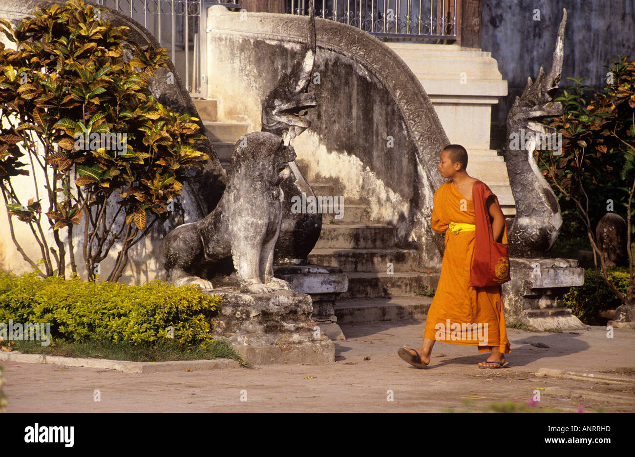 An orange clad monk walking between the 16th century sanctuaries in the ...