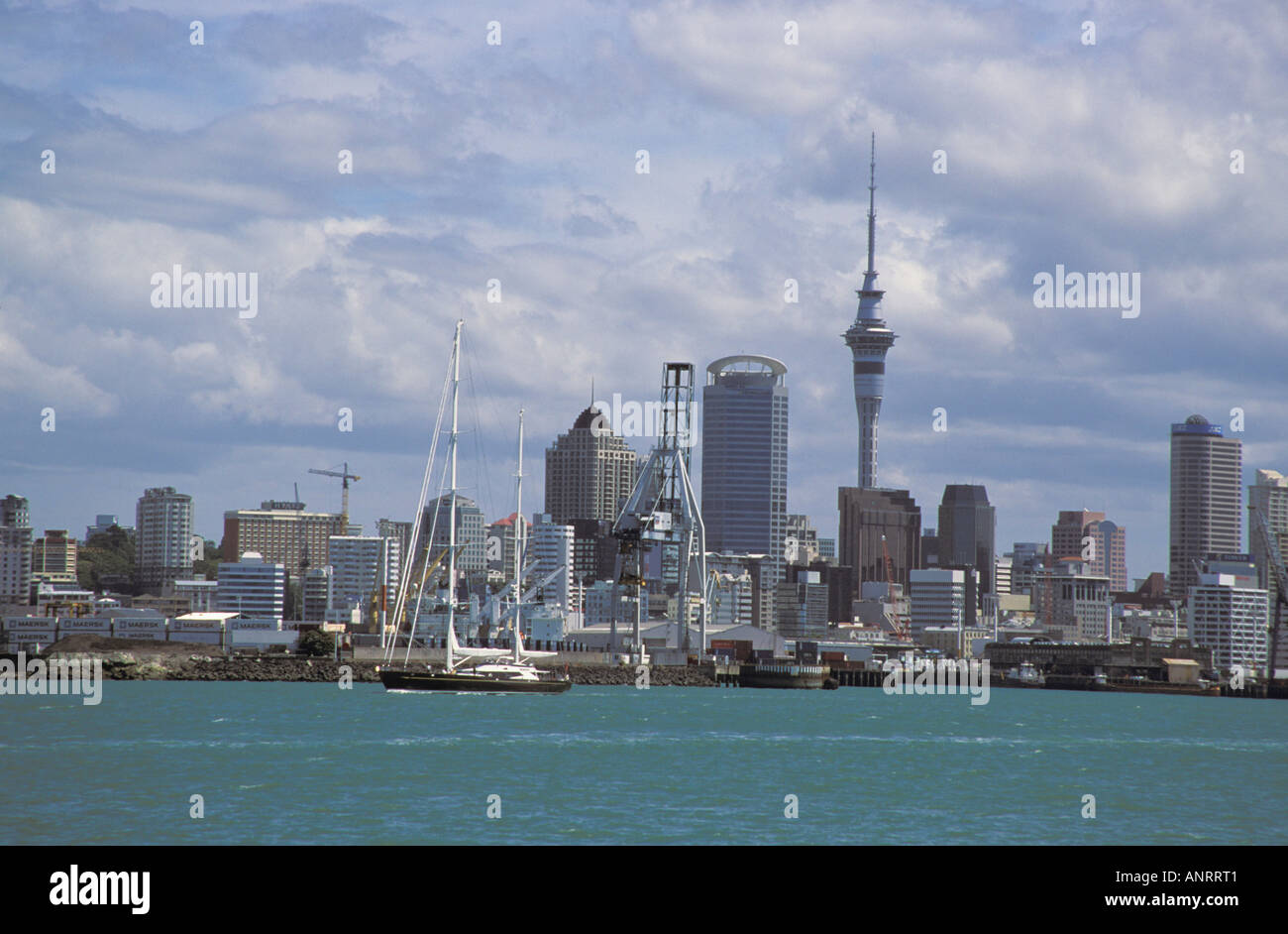New Zealand Auckland Skyline including the Sky Tower Stock Photo - Alamy