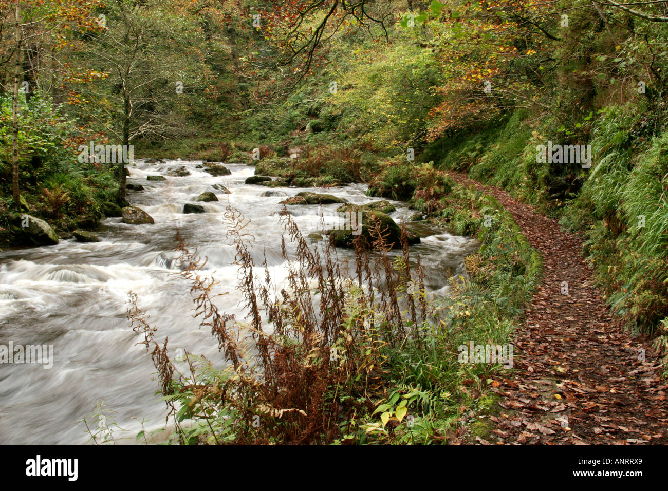 Watersmeet, Exmoor, Devon, England, UK Stock Photo - Alamy