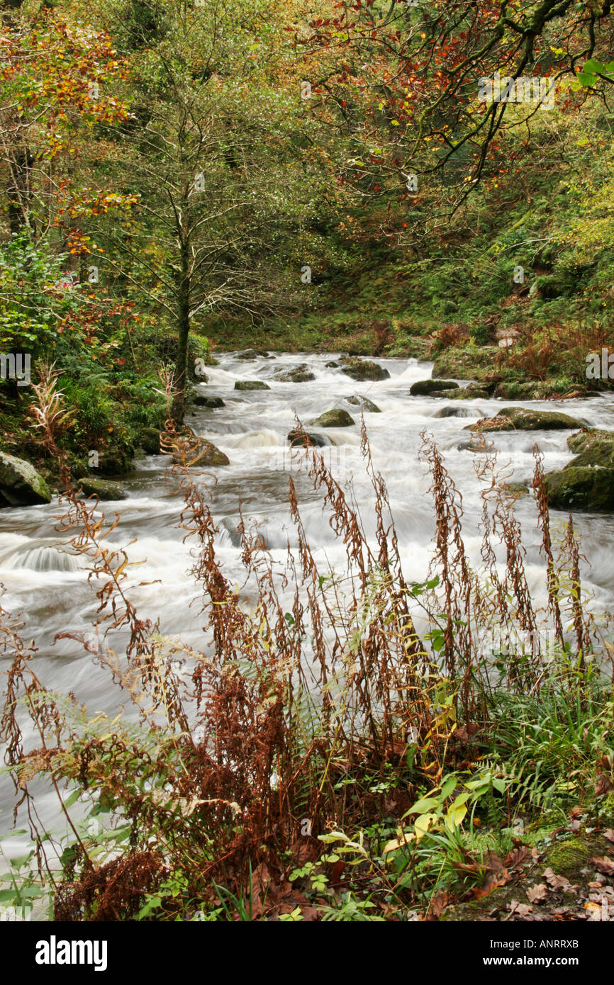Watersmeet, Exmoor, Devon, England, UK Stock Photo - Alamy